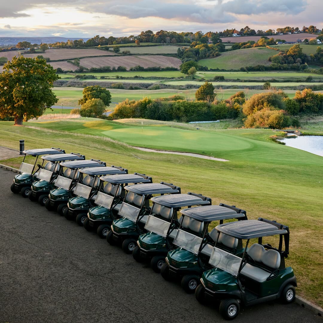 Sustainability - The Celtic Collection